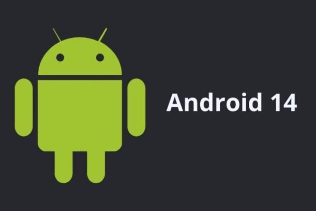 Android 14: What Does The Next Version Of Google's OS Have?